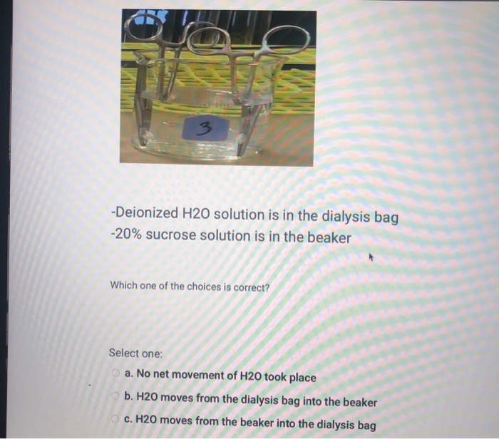 Solved 3 -Deionized H20 solution is in the dialysis bag -20% | Chegg.com
