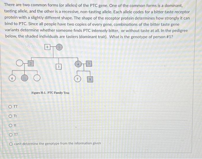 There are two common forms (or alleles) of the PTC | Chegg.com