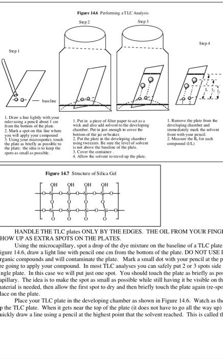 Solved Draw a TLC plate that is 6 cm long. Assume that your | Chegg.com