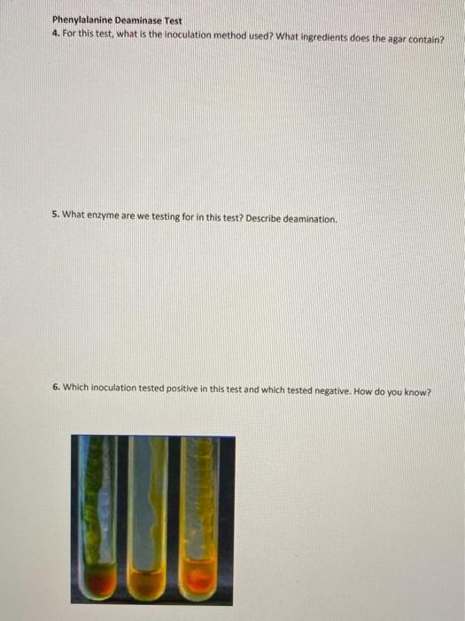 Solved Phenylalanine Deaminase Test 4. For this test, what | Chegg.com
