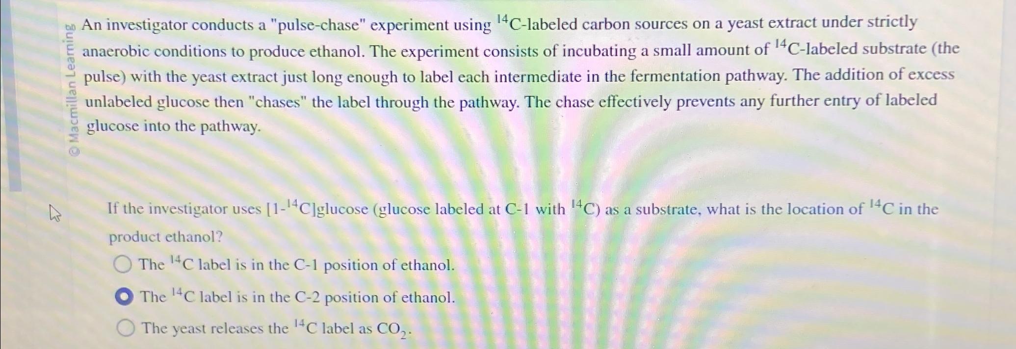 Solved an An investigator conducts a "pulse-chase" | Chegg.com