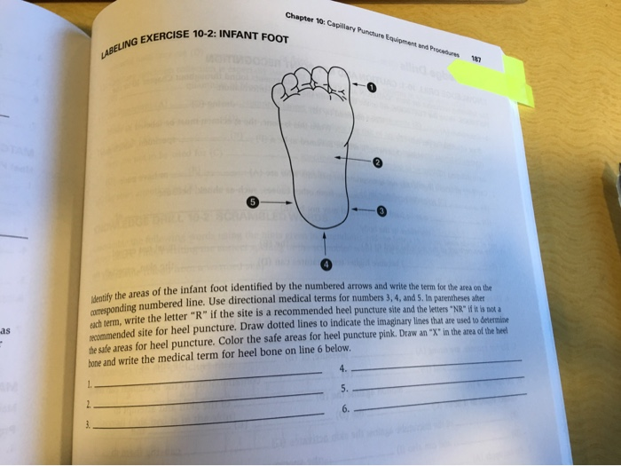 Solved . Ano A par 186 Unit Ill: Blood Collection Procedures | Chegg.com