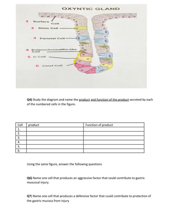 Solved Q4) Study the diagram and name the product and | Chegg.com Solved Q4) Study the diagram and name the product and | Chegg.com