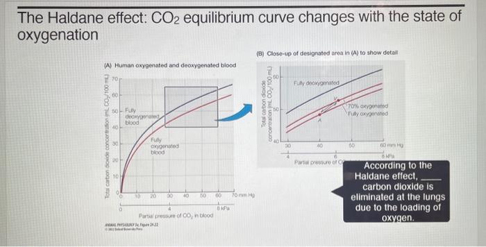 Solved The Haldane effect: CO2 equilibrium curve changes | Chegg.com