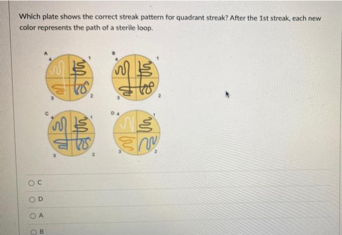 Solved Which plate shows the correct streak pattern for | Chegg.com