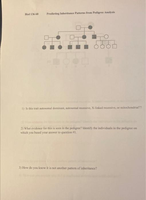 Solved Biel 13660 Predicting Inheritance Patterns frem | Chegg.com