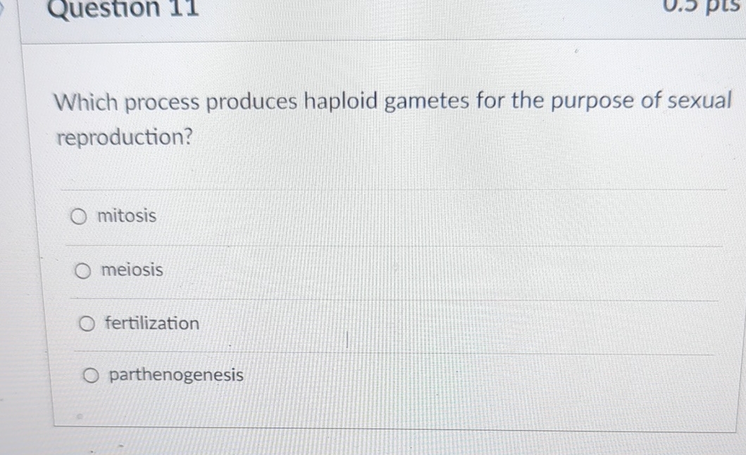 Solved Question 11which Process Produces Haploid Gametes For 0195