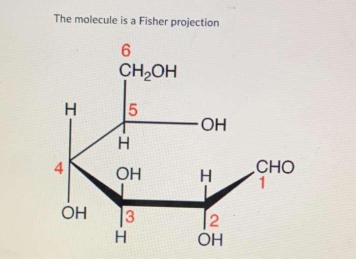 Solved The molecule is a Fisher projection 6 CH OH H 5 -ОН | Chegg.com