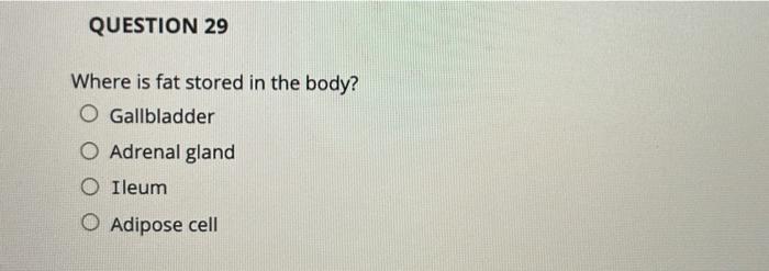 Solved QUESTION 29 Where is fat stored in the body? O | Chegg.com