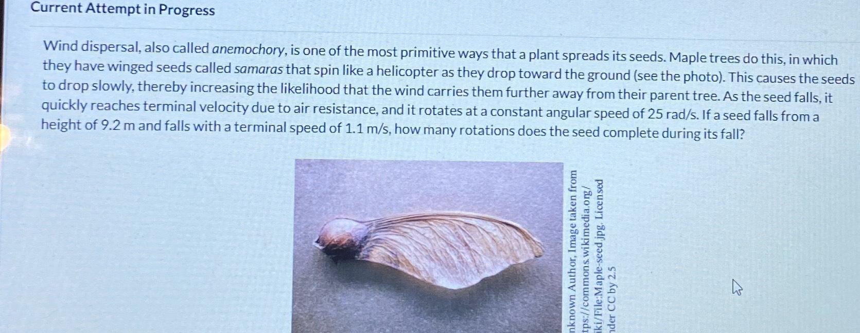 Solved Current Attempt in ProgressWind dispersal, also | Chegg.com