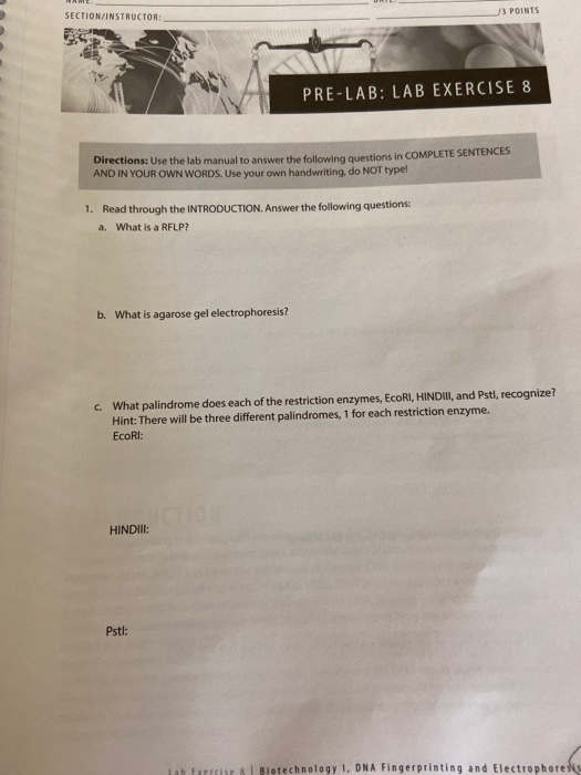 Solved SECTION/INSTRUCTOR: J3 POINTS PRE-LAB: LAB EXERCISE 8 | Chegg.com