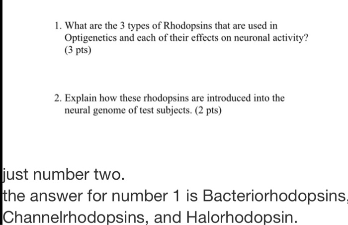 Solved 1. What are the 3 types of Rhodopsins that are used | Chegg.com