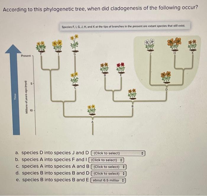 Solved According to this phylogenetic tree, when did | Chegg.com