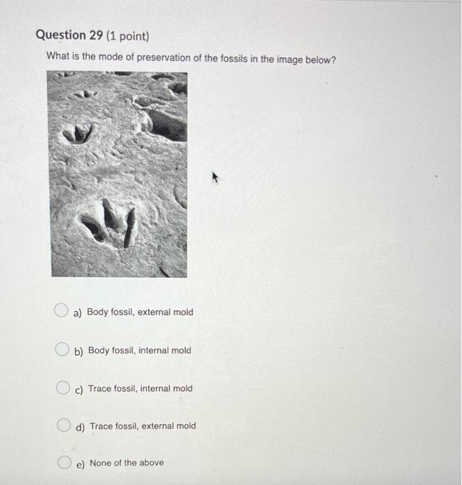 Solved What is the mode of preservation of the fossils in | Chegg.com