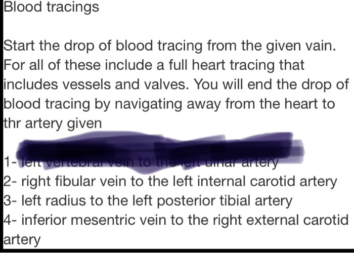 Solved Blood tracings Start the drop of blood tracing from | Chegg.com