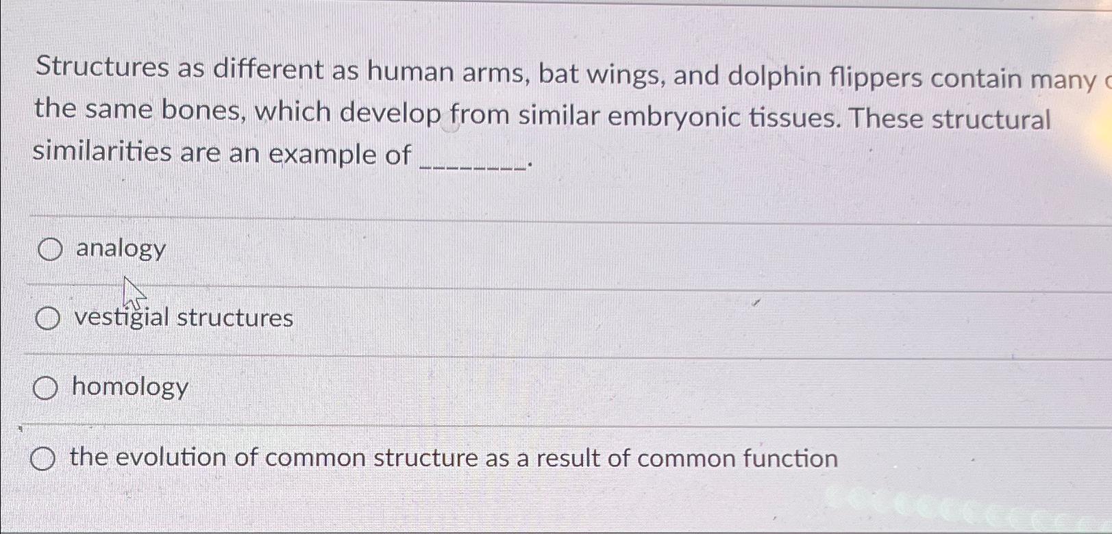 Solved Structures as different as human arms, bat wings, and | Chegg.com