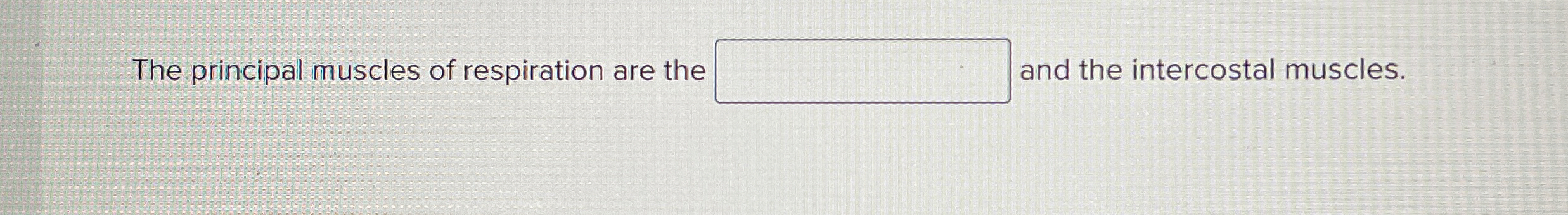 Solved The principal muscles of respiration are the and the | Chegg.com