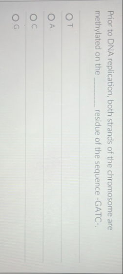 Solved Prior to DNA replication, both strands of the | Chegg.com