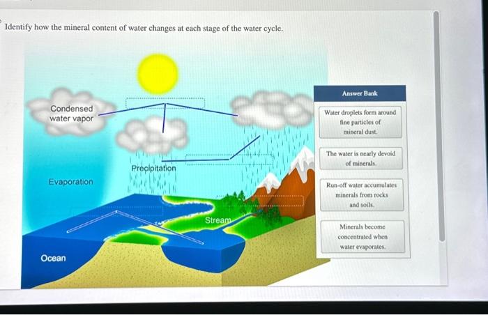 Solved Identify how the mineral content of water changes at | Chegg.com