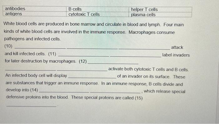Solved White blood cells are produced in bone marrow and | Chegg.com