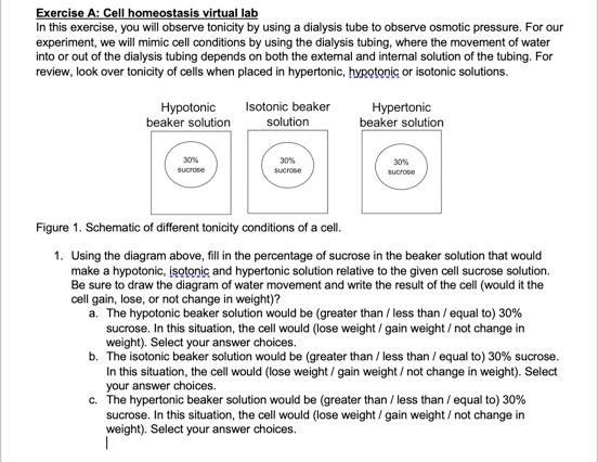 Solved Exercise A: Cell homeostasis virtual lab In this | Chegg.com