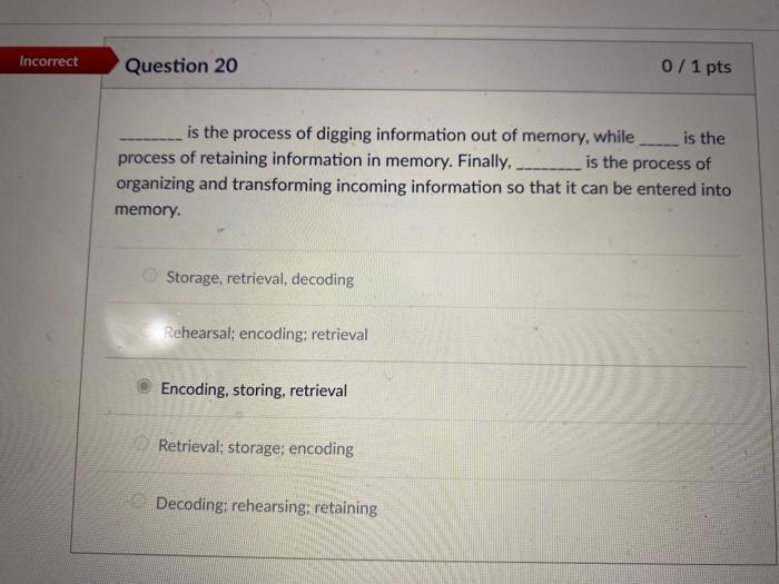 Solved Exam 2 Oscar Lechuga submitted Sep 13 at 3:56pm | Chegg.com