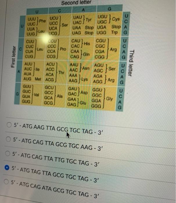 Solved Which Single Base Pair Mutation Would Insert A 6327