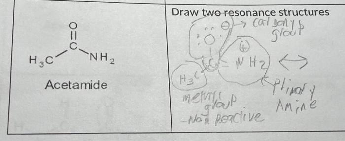 Solved Acetamide Draw two resonance structures | Chegg.com