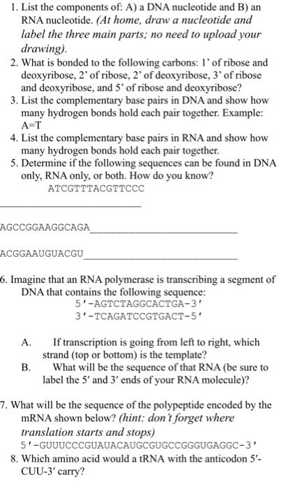 Solved 1. List the components of: A) a DNA nucleotide and B) | Chegg.com