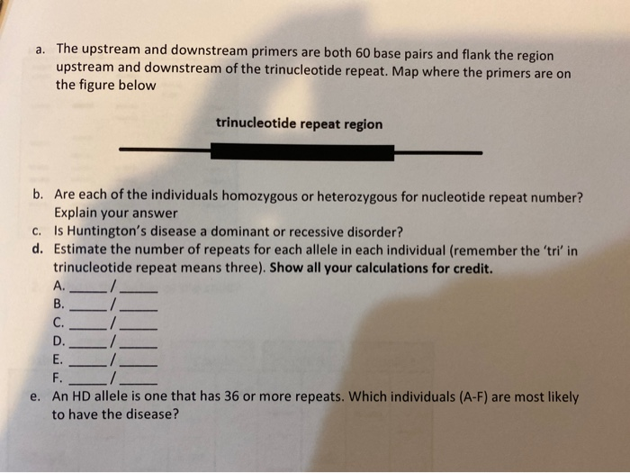 Solved Problem 4 The trinucleotide repeat region of the | Chegg.com