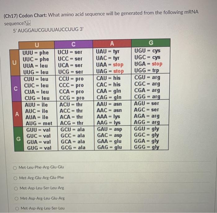 Solved (Ch17) Codon Chart: What amino acid sequence will be | Chegg.com