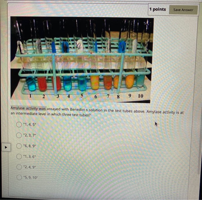 Solved 1 points Save Answer 2 3 4 5 7 8 9 10 Amylase | Chegg.com