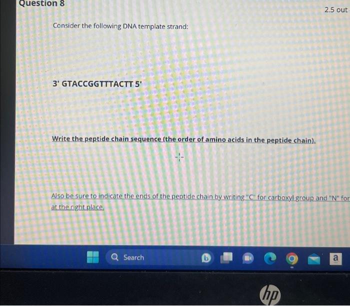 Solved Question 8 Consider the following DNA template | Chegg.com