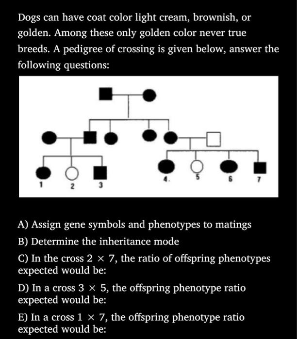 Solved Dogs can have coat color light cream, brownish, or | Chegg.com
