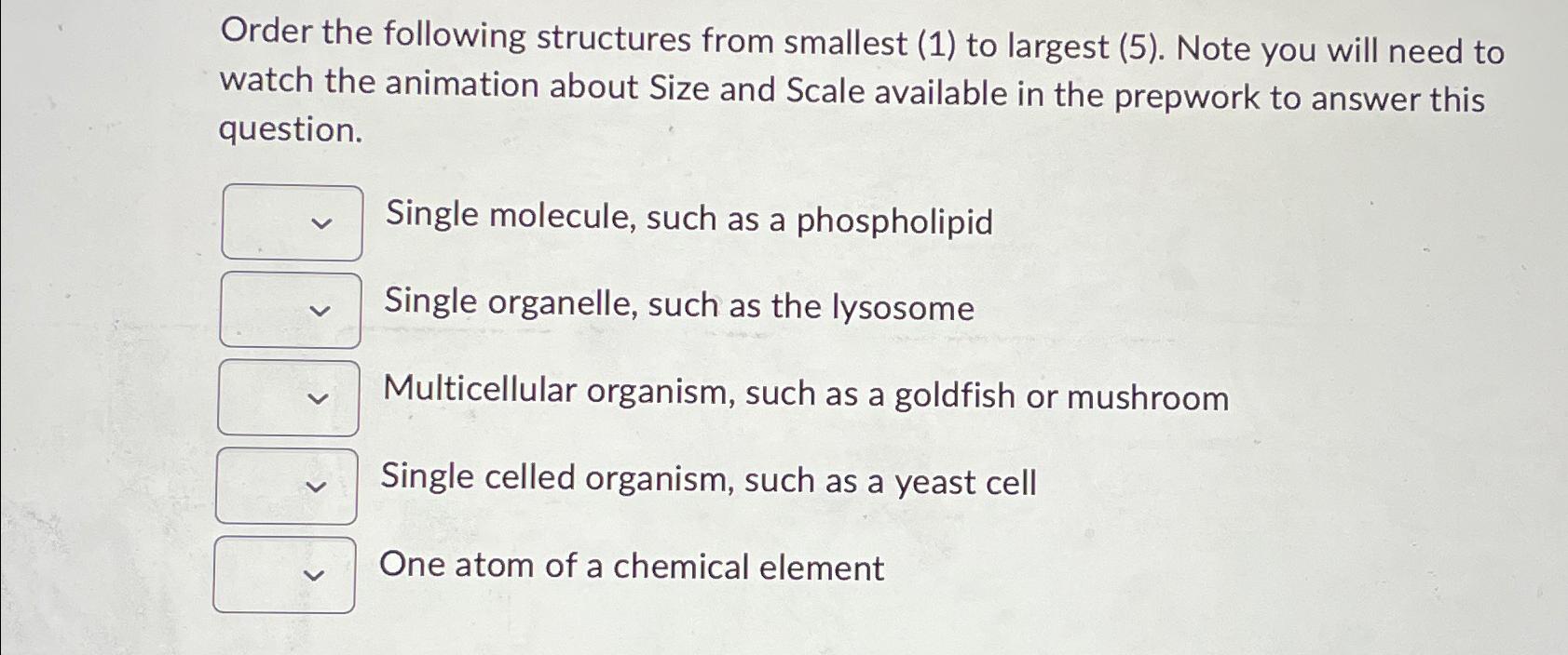 Solved Order the following structures from smallest (1) ﻿to | Chegg.com