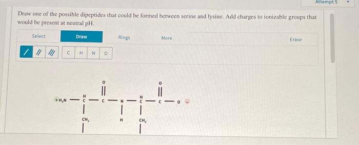 Solved Attempt 5 Draw one of the possible dipeptides that | Chegg.com