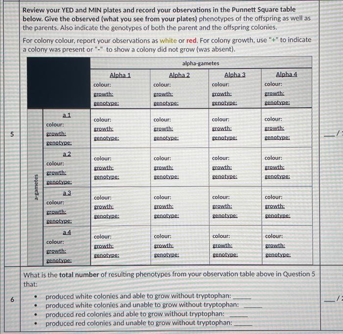 Solved Review your YED and MIN plates and record your | Chegg.com