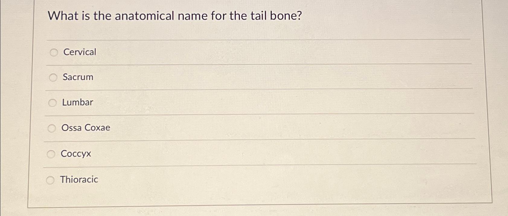 Solved What is the anatomical name for the tail | Chegg.com