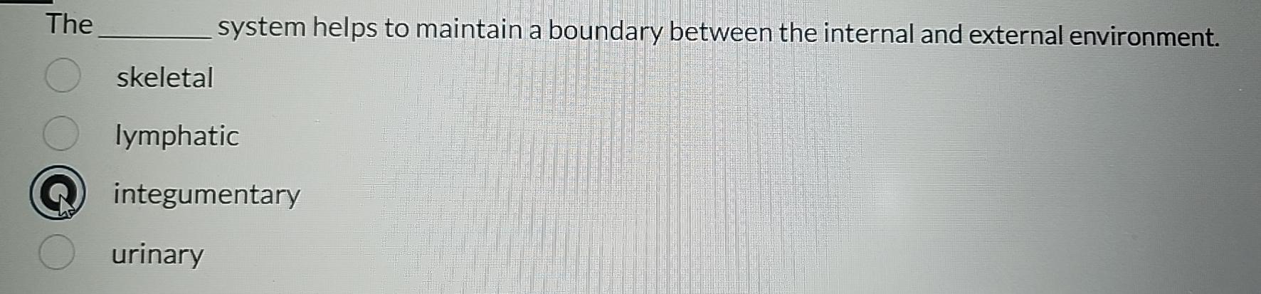 Solved The system helps to maintain a boundary between the | Chegg.com