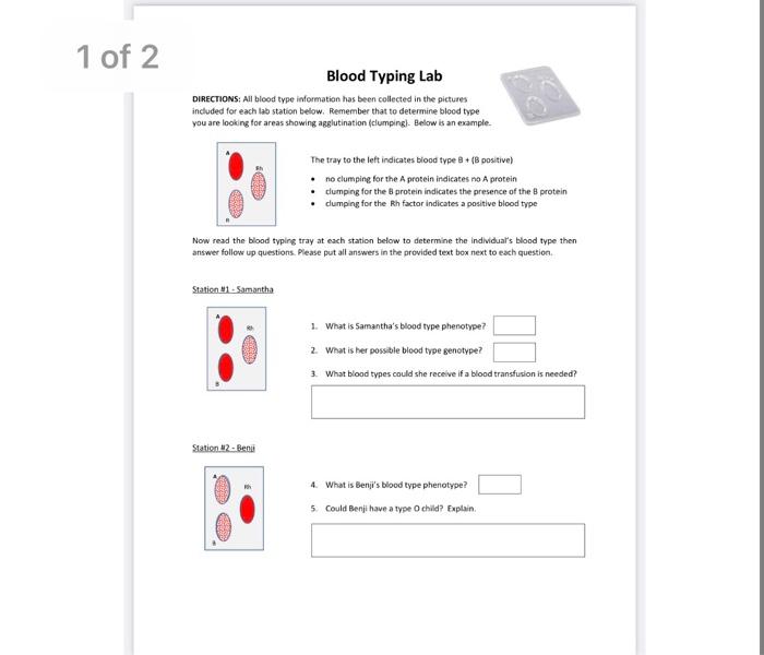 Solved SCHO dodatno B Blood Typing Lab DIRECTIONS debe | Chegg.com
