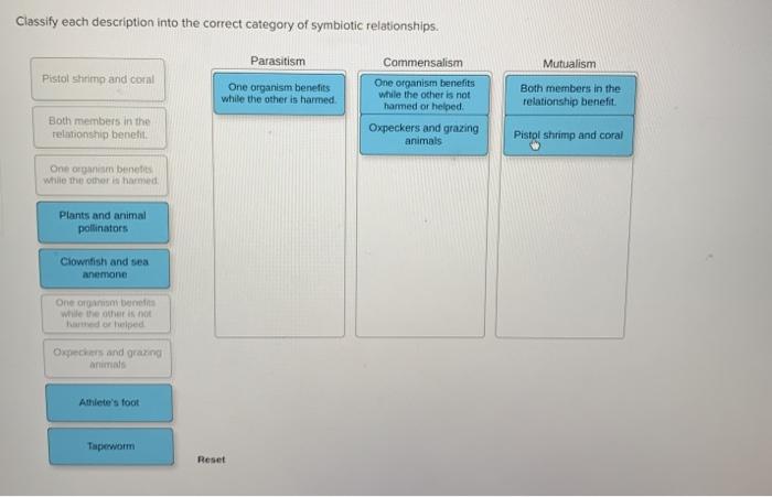 Solved Classify each description into the correct category | Chegg.com