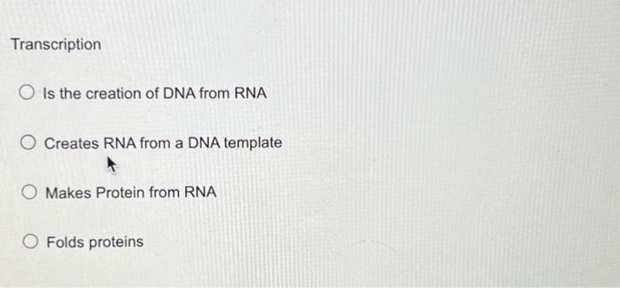 Solved Transcription O Is the creation of DNA from RNA O | Chegg.com
