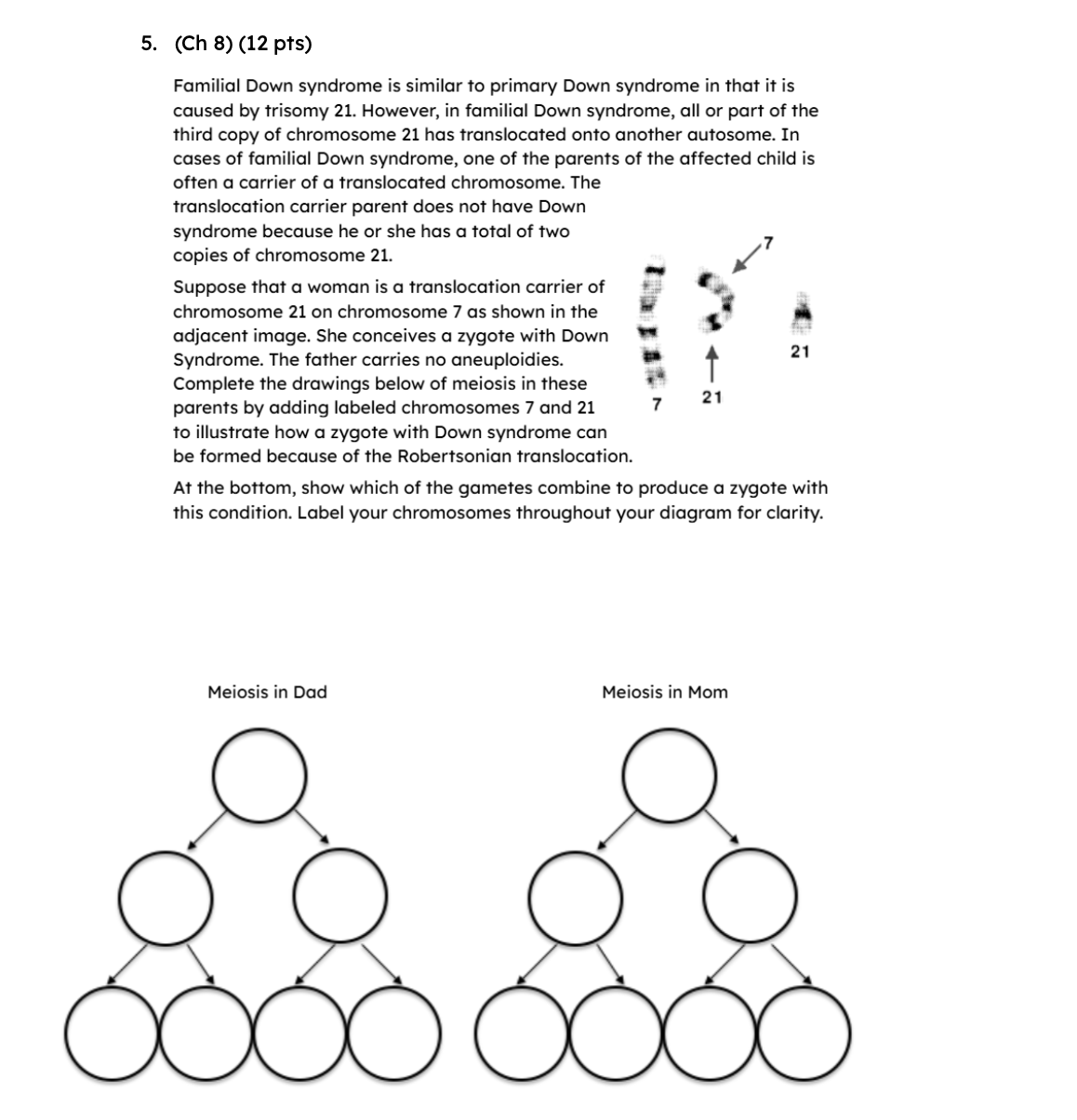 Solved (Ch 8) ( 12 ﻿pts )Familial Down syndrome is similar | Chegg.com