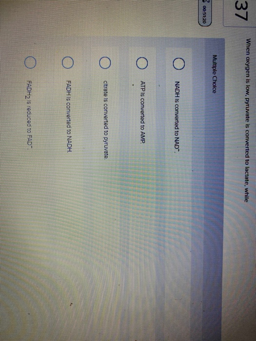 Solved When oxygen is low, pyruvate is converted to lactate, | Chegg.com