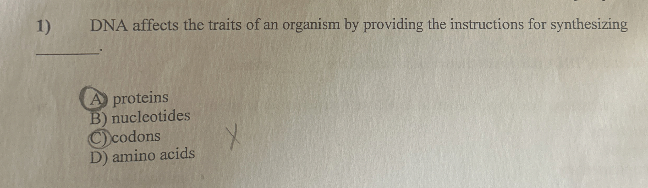 Solved DNA affects the traits of an organism by providing | Chegg.com
