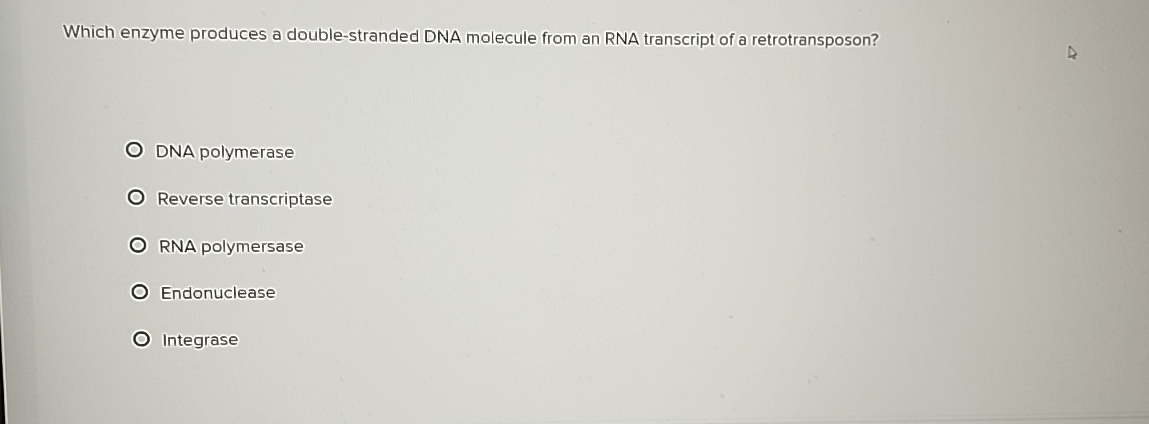 Solved Which enzyme produces a double-stranded DNA molecule | Chegg.com