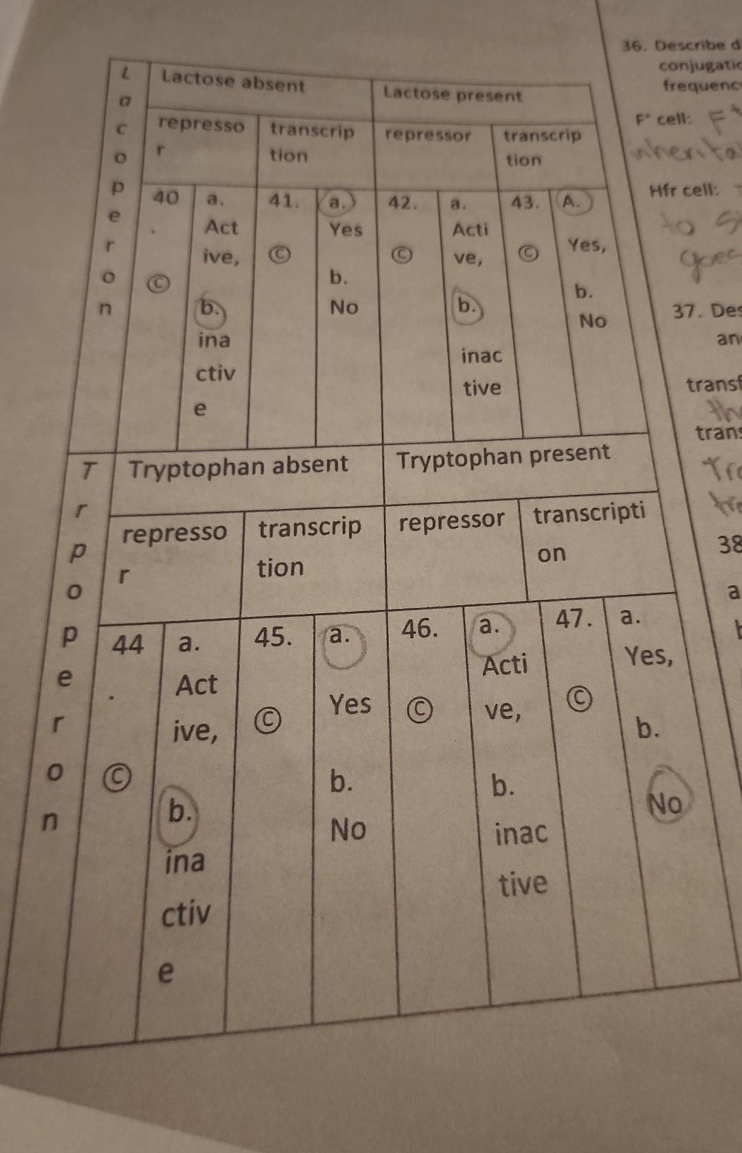 Help filling out this table. Ignore my answers in | Chegg.com