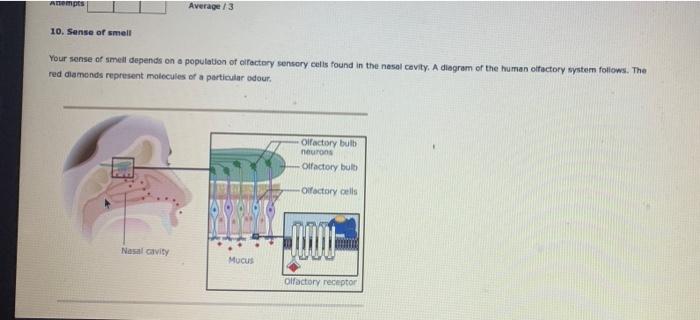 Solved 5. Events at the synapse Most neurons communicate to | Chegg.com