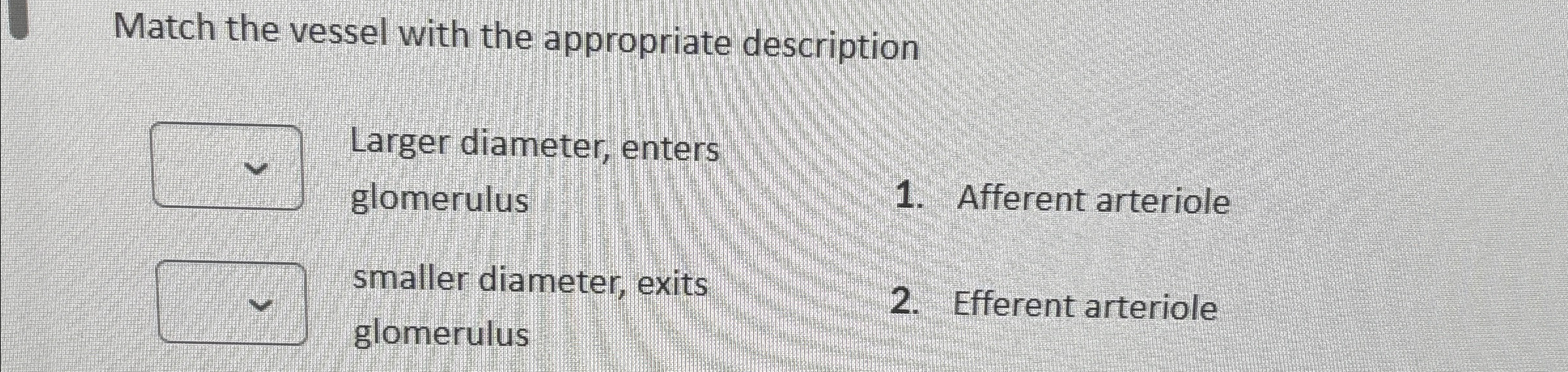 Solved Match the vessel with the appropriate description | Chegg.com