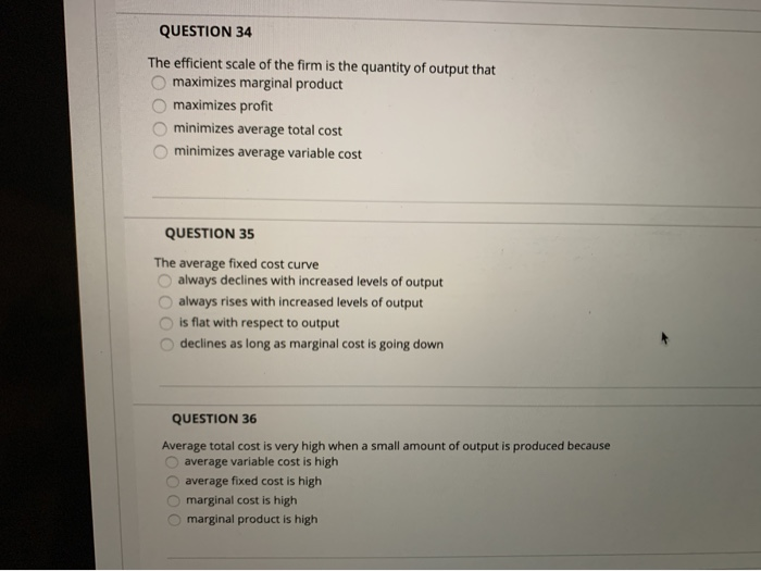 Solved QUESTION 31 An efficient scale of the firm is the | Chegg.com